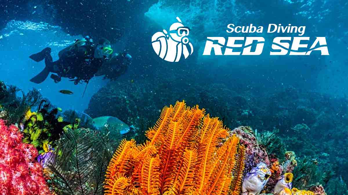 Gear - Scuba Diving Red Sea